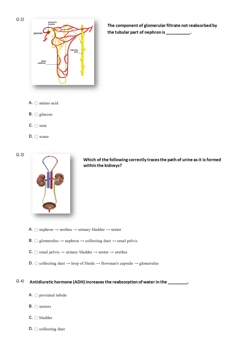 Science Olympiad Class 10 - Sample question paper 12 | Olympiad tester Science Olympiad Class 10 - Sample question paper 12 | Olympiad tester