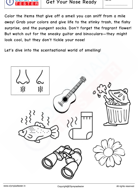 Kindergarten Worksheet : Get Your Nose Ready | Olympiad tester