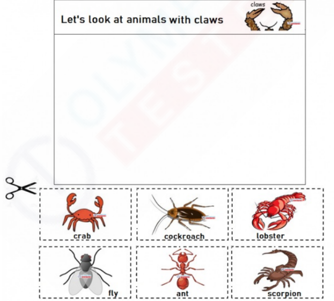Claws, Claws Everywhere! A Kindergarten Cut-and-Paste Worksheet ...