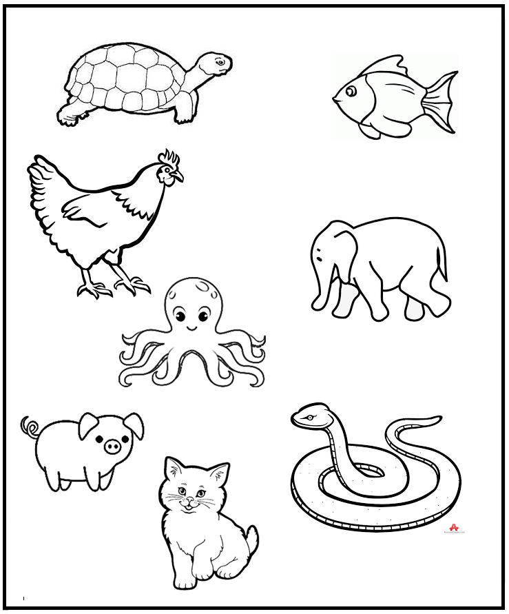Free printable Science Worksheet for Preschool - Animals 28 | Olympiad ...