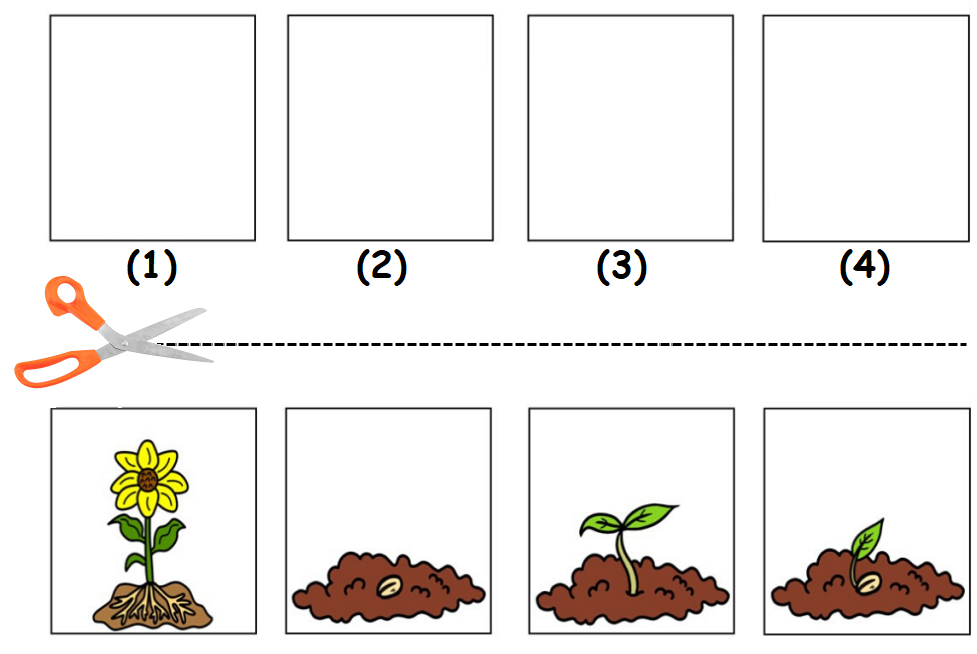 Free Kindergarten Worksheets - Plants 07 | Olympiad tester
