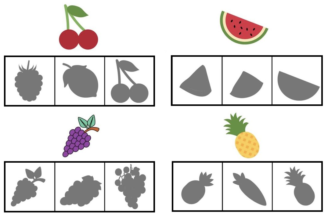 Shadow Matching Worksheet #19 | Olympiad tester