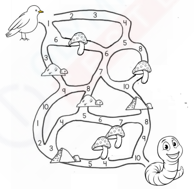 Bird Maze - Counting Game 1-10 | Olympiad tester