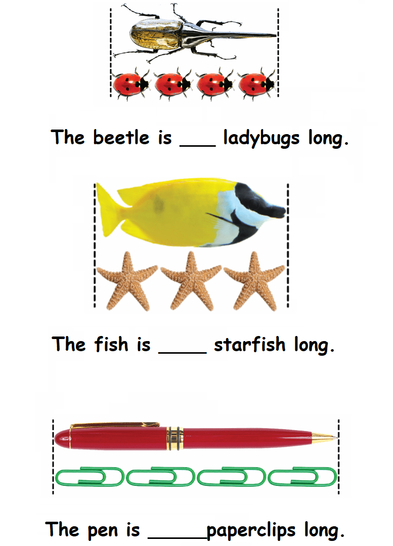 Kindergarten Math Worksheets - Measurements 31 | Olympiad tester