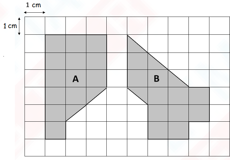 Class 3 Imo Higher Order Thinking Questions On Geometry Olympiad Tester