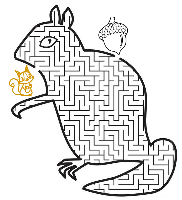 Squirrel Maze Worksheet | Olympiad tester