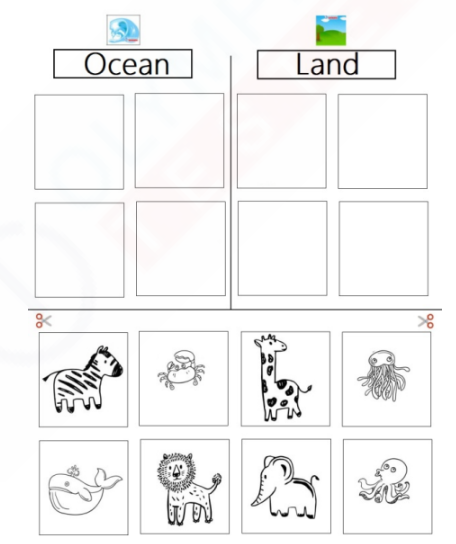 Match Ocean and Land Creatures to their Habitats | Olympiad tester