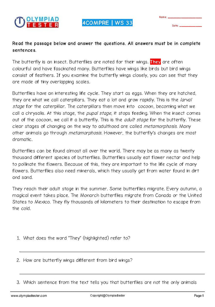 Unseen Passage for Class 3 - Passage 05 | Olympiad tester