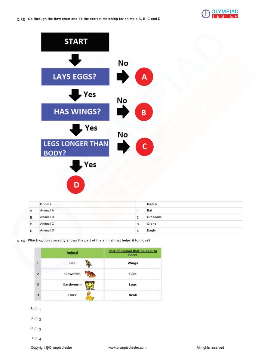 Class 3 Nso Science Olympiad Sample Paper Worksheet 3 Olympiad Tester