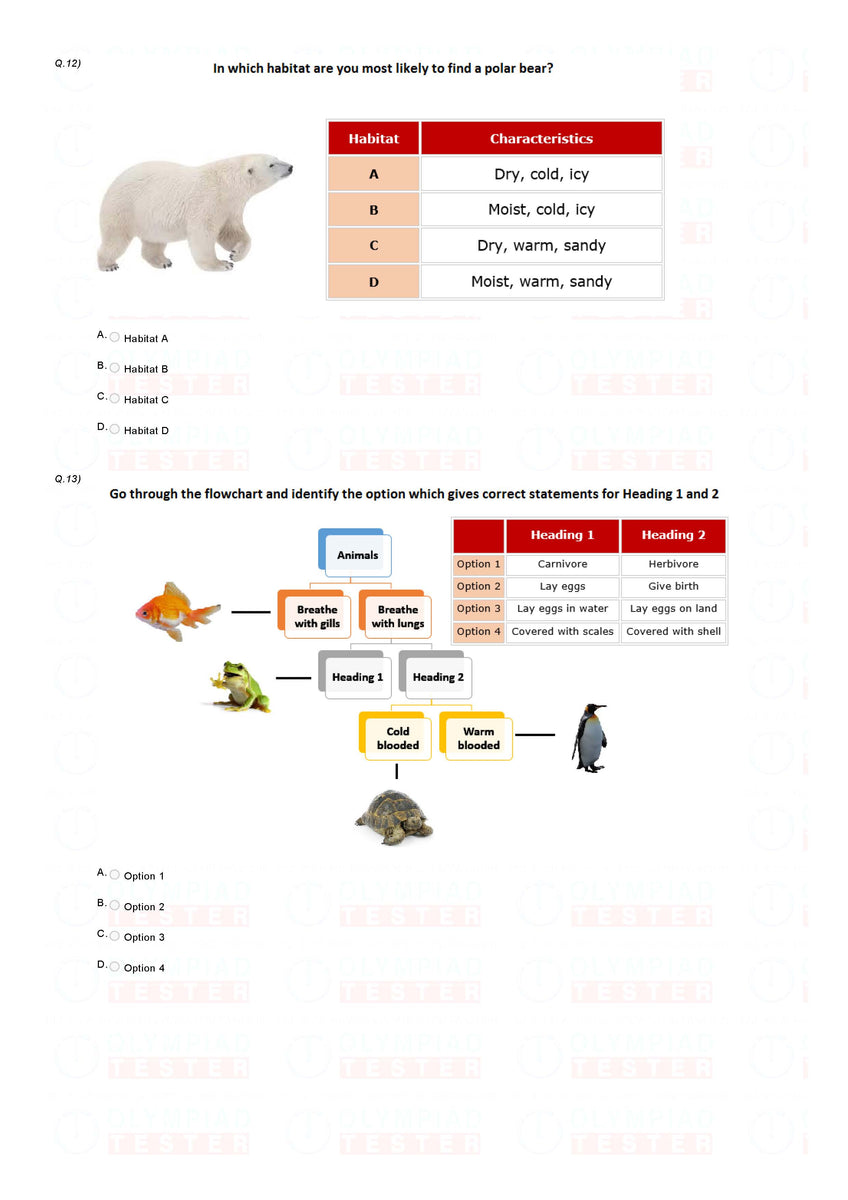 Class 4 NSO Science Olympiad sample paper - Worksheet 5 | Olympiad tester