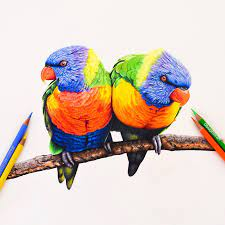 Download CBSE Class 3 Science Birds - Worksheet #3 | Olympiad tester