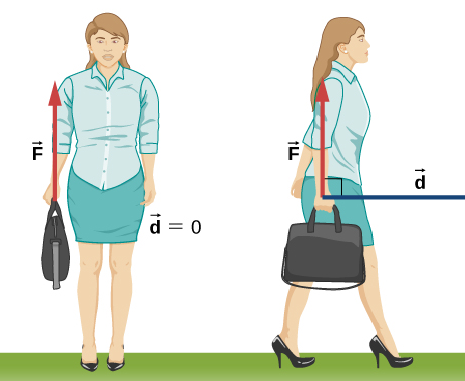 CBSE Class 4 Science - Work, Force and energy - Worksheet #3 | Olympiad ...