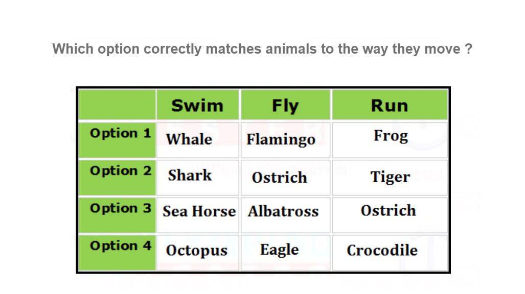 Class 5 Science Olympiad Sample question paper | Olympiad tester