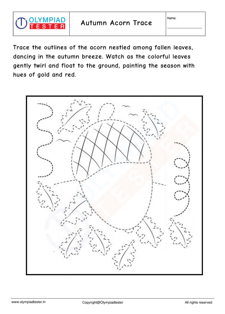 Autumn Acorn Tracing Worksheet | Olympiad tester