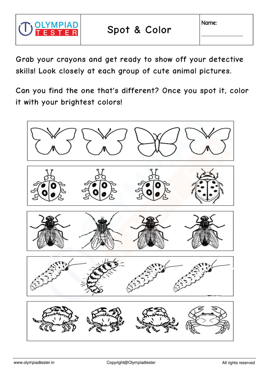 Same & Different Worksheet for Kindergarten | Olympiad tester