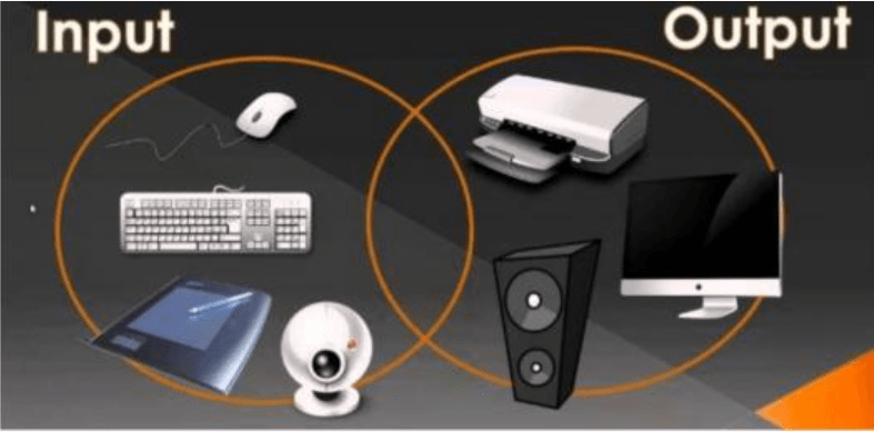 Class 5 NCO online sample test - Input output devices | Olympiad tester