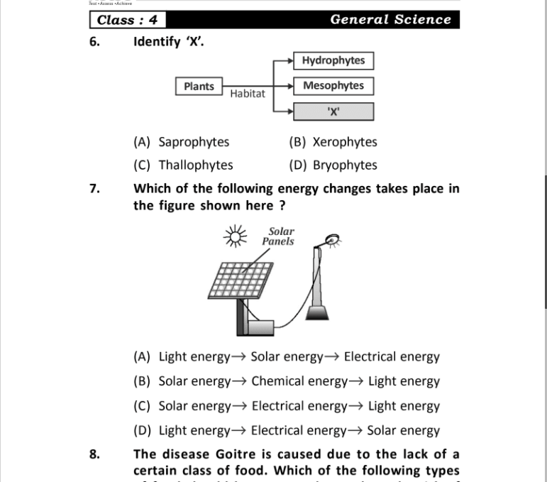 Class 4 NSTSE sample question paper | Olympiad tester