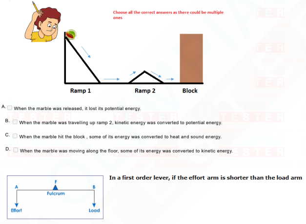 CLASS 6 NSO SCIENCE OLYMPIAD SAMPLE PAPER - WORKSHEET 1 | Olympiad tester