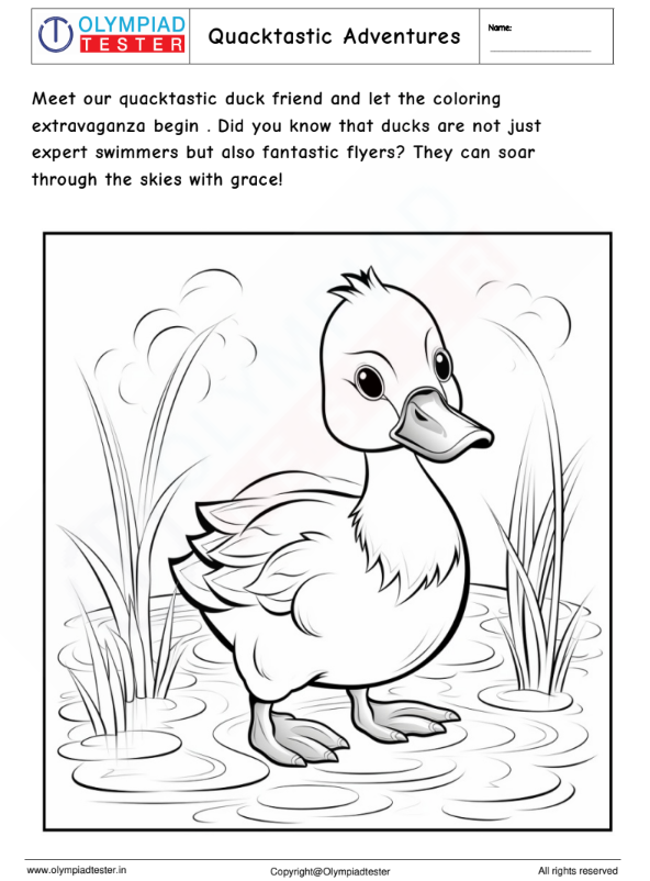 Quacktastic Adventures - Duck Coloring Page | Olympiad tester