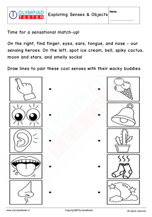 Kindergarten Worksheet: Exploring Senses & Objects | Olympiad tester