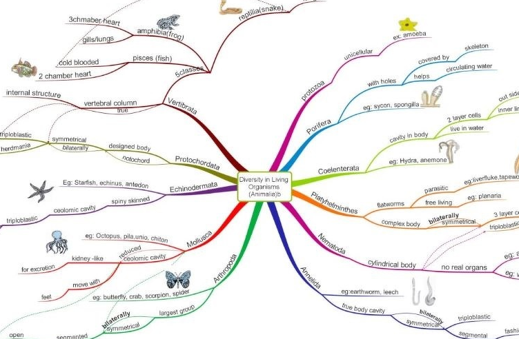 Science Olympiad Class 9 - Sample question paper 11 | Olympiad tester