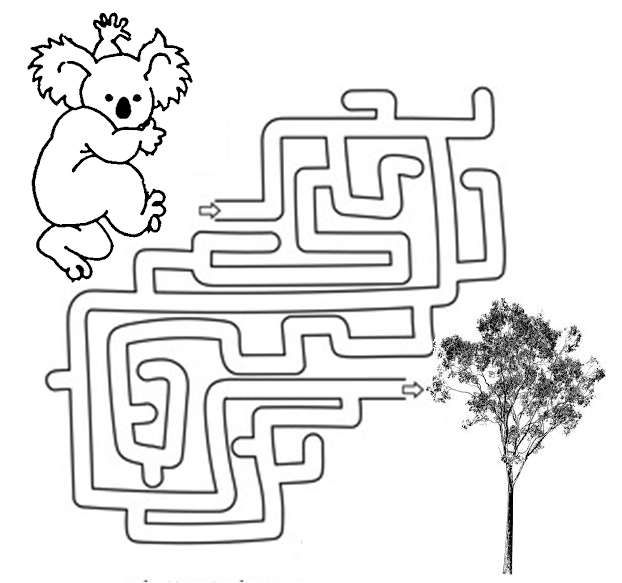 Koala Maze | Olympiad tester