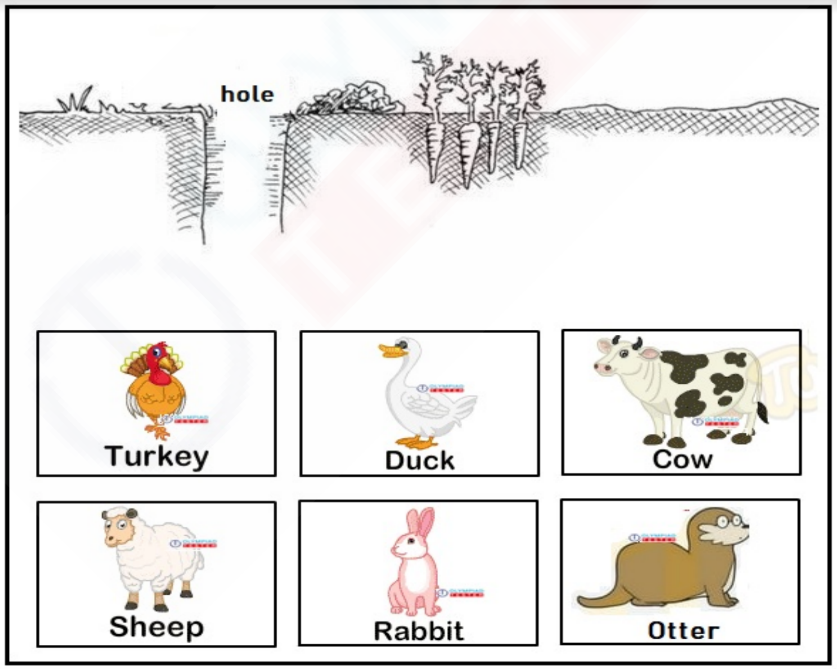 Burrowing Animals Worksheet for Kindergarten -Digging up Fun ...