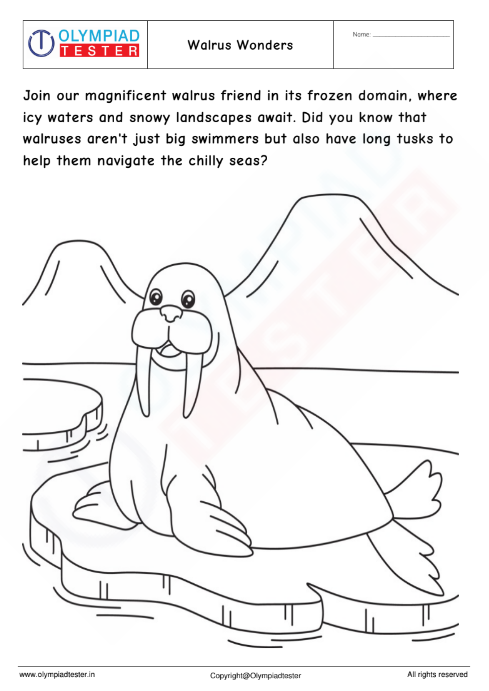 Walrus Coloring EVS Worksheet for Kindergarten | Olympiad tester