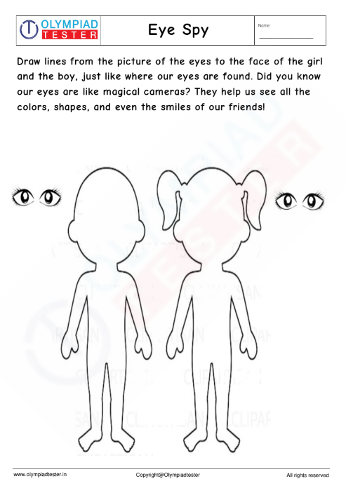 Human body Worksheet: Eye Spy | Olympiad tester