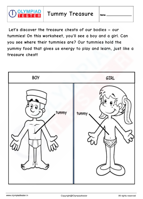 Kindergarten Worksheet - Tummy Treasure | Olympiad tester
