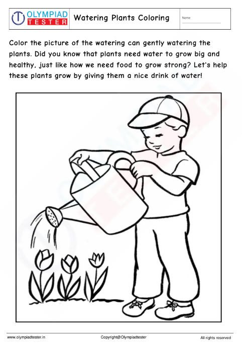 Watering Plants Coloring Fun | Olympiad tester