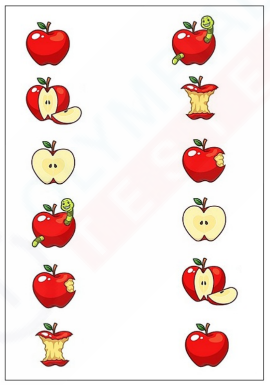 Apple Picture Matching | Olympiad tester