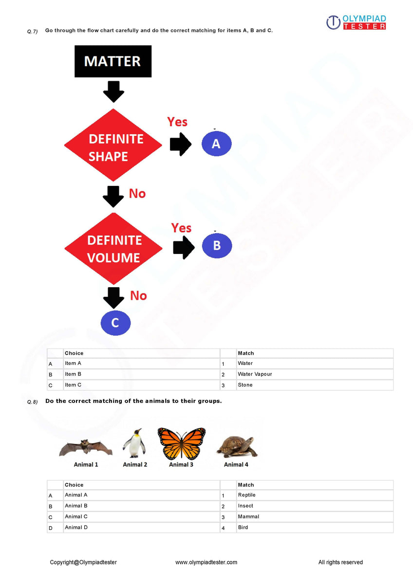 Class 3 NSO Science Olympiad sample paper - Worksheet 2 | Olympiad tester