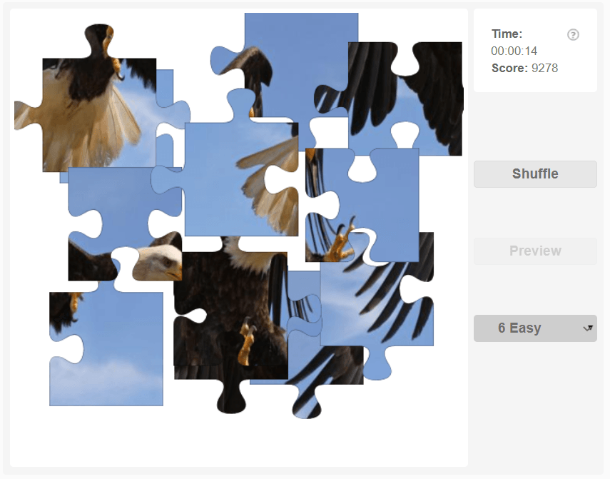 Online jigsaw puzzles for kids - Bald eagle | Olympiad tester