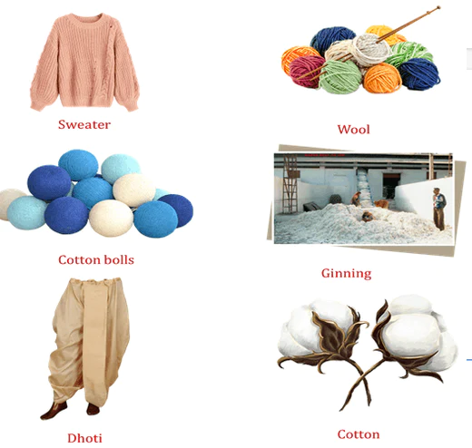 Class 7 Science - Fiber to fabric - Worksheet #7 | Olympiad tester