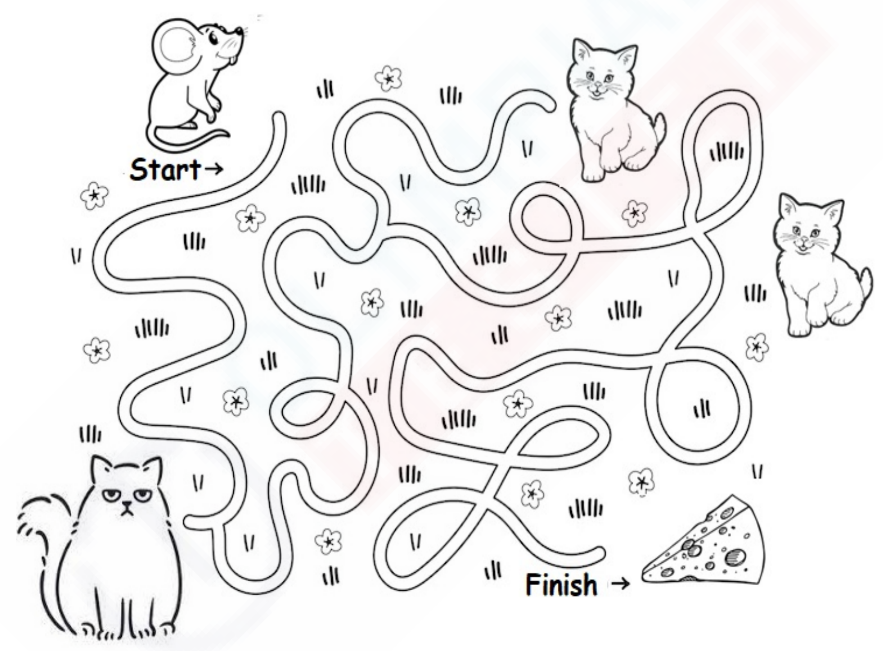 Maze Fun: Help the Hungry Mouse Find the Cheese! | Olympiad tester