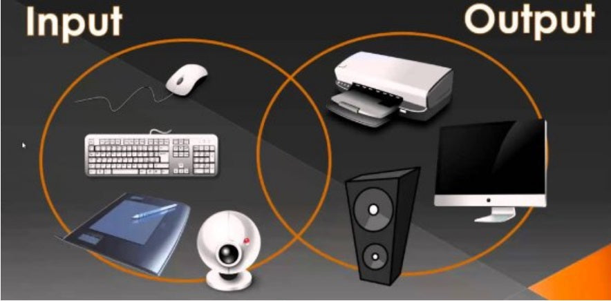 Class 3 NCO online sample test - Input output devices | Olympiad tester