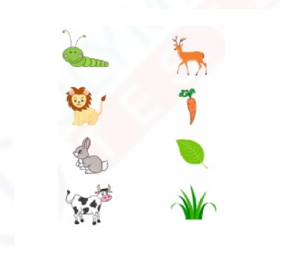 Free Printable Science Worksheets for Preschool - Animals 43 | Olympiad ...