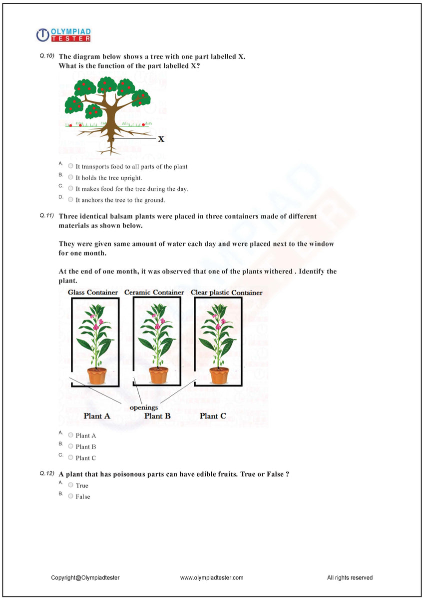 Class 2 Science HOTS - Plants - Worksheet 06 | Olympiad tester