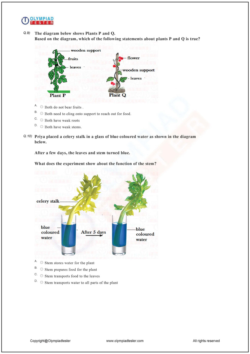 Class 2 Science HOTS - Plants - Worksheet 08 | Olympiad tester