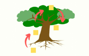 CBSE Class 5 Science HOTS worksheets - Plants 24 | Olympiad tester