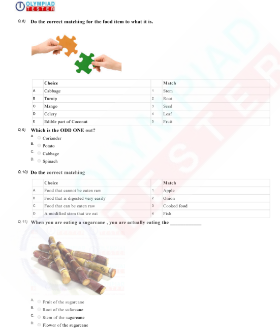 Class 2 Science HOTS - Food - Worksheets 1-2 | Olympiad tester