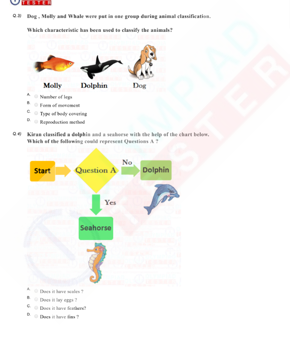 Class 2 Science HOTS - Animals - PDF Worksheet 04 | Olympiad tester