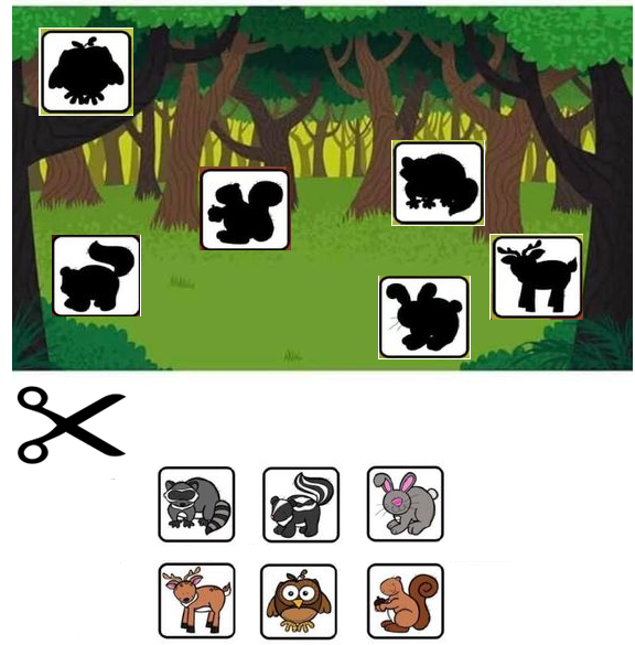 Shadow matching Worksheet #54 | Olympiad tester