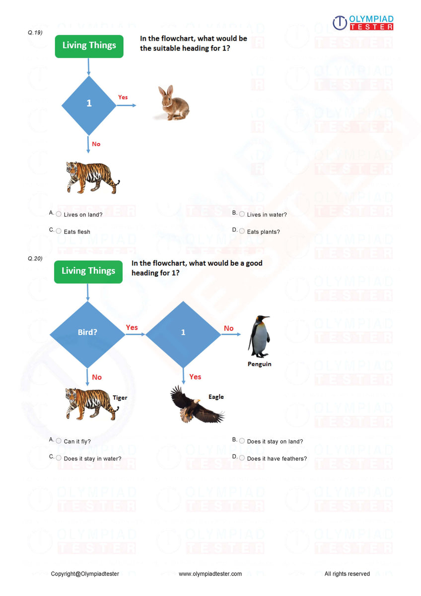 Class 1 Science - Mock test 12 | Olympiad tester