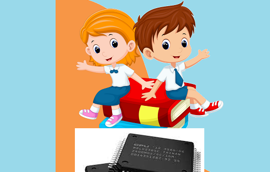 Class 6 Computer Science - Memory and storage | Olympiad tester