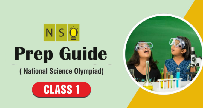 Class 1 NSO Guide: Achieve a top rank with Olympiadtester | Olympiad tester
