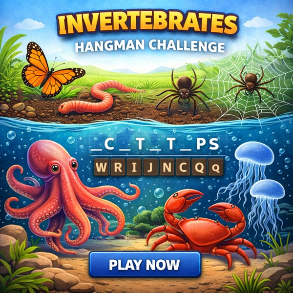 Invertebrates Hangman (Animal Classification Challenge) – Olympiad tester