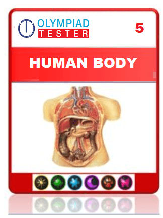 GLOBAL SCHOOLS ASSESSMENT - GRADE 5 SCIENCE - HUMAN BODY AND FOOD ...